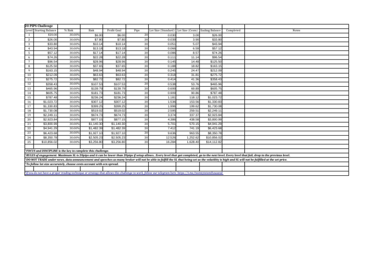20 PIPS Challenge | PDF | Private Sector | Economies