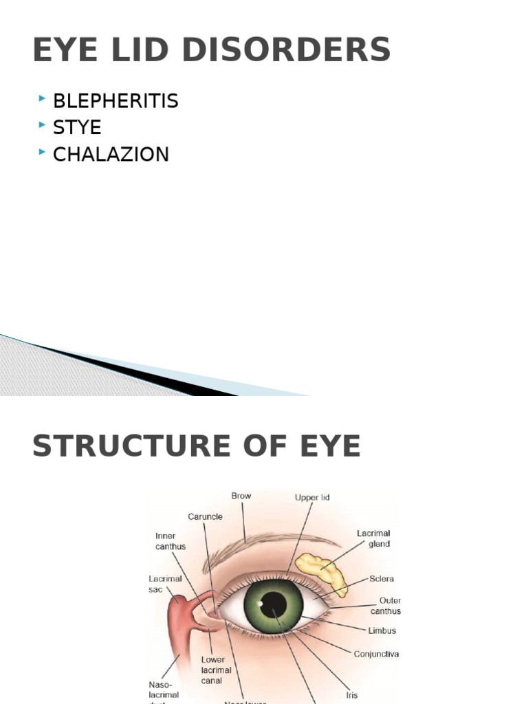 Eye Lid Disorders | PDF | Diseases And Disorders | Clinical Medicine