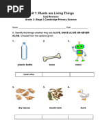 Grade 2 Science Revision Worksheets Full Course | PDF | Fruit | Vegetables