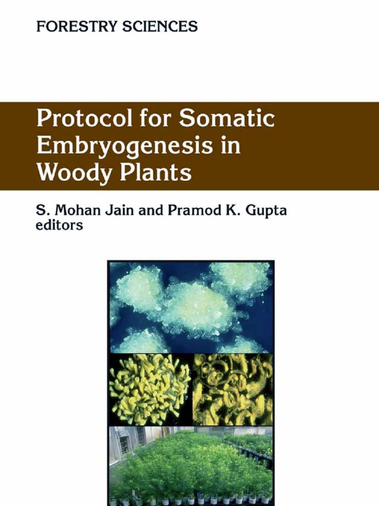 Double Staining Method | PDF | Staining | Coconut