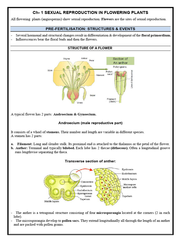 Biology Class-12 Notes | PDF | Menstrual Cycle | Seed