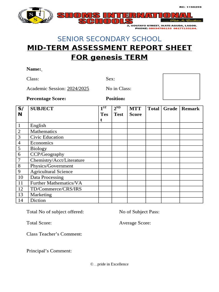 MTT Report Sheet Senior | PDF