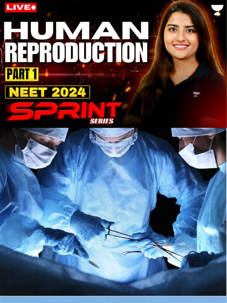 Human Reproduction (1) | PDF | Testicle | Reproductive System