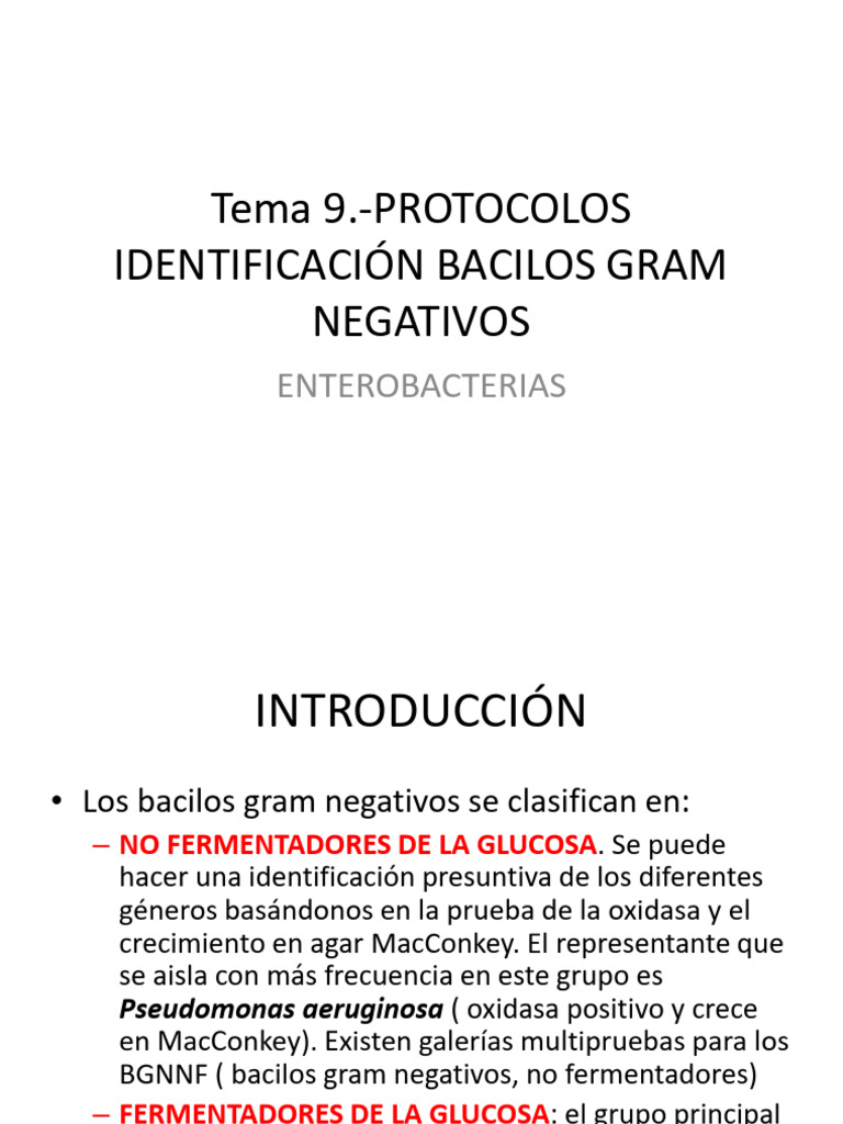 Tema 9 - Bacilos Gram Negativos | PDF