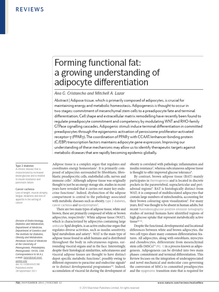 Forming Functional Fat - A Growing Understanding of Adipocyte ...