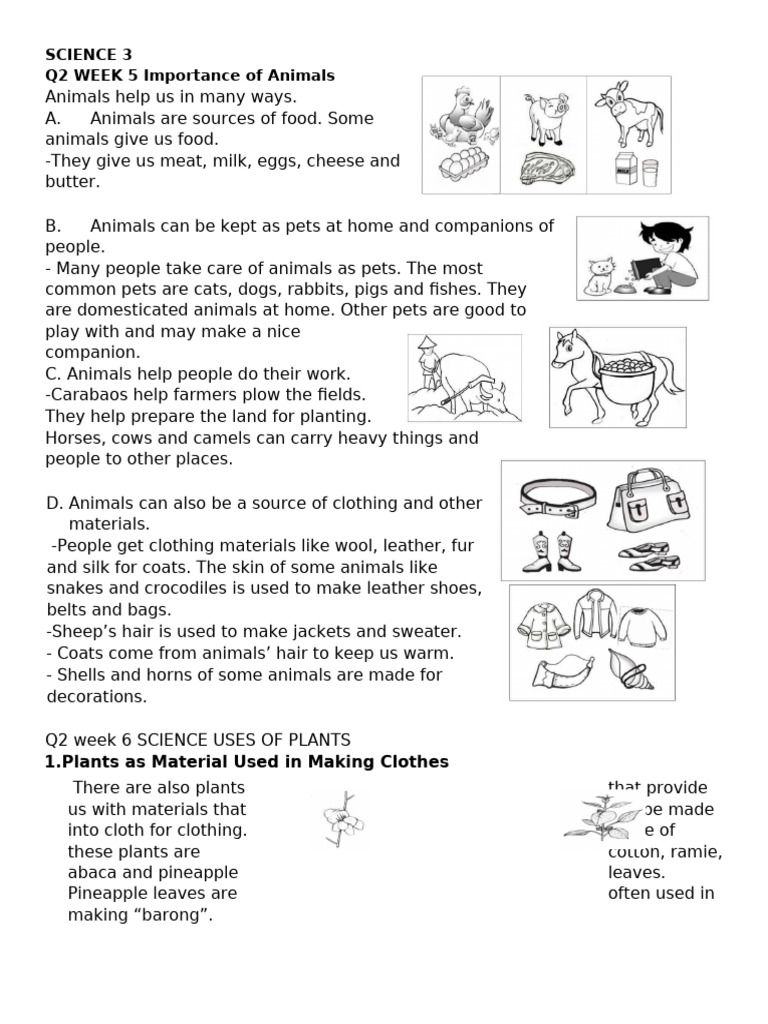 Importance of Plants and Animals | PDF | Plants | Pet