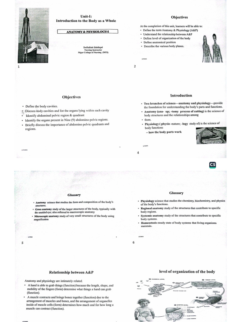Anatomy and Physiology NCN Swabi | PDF