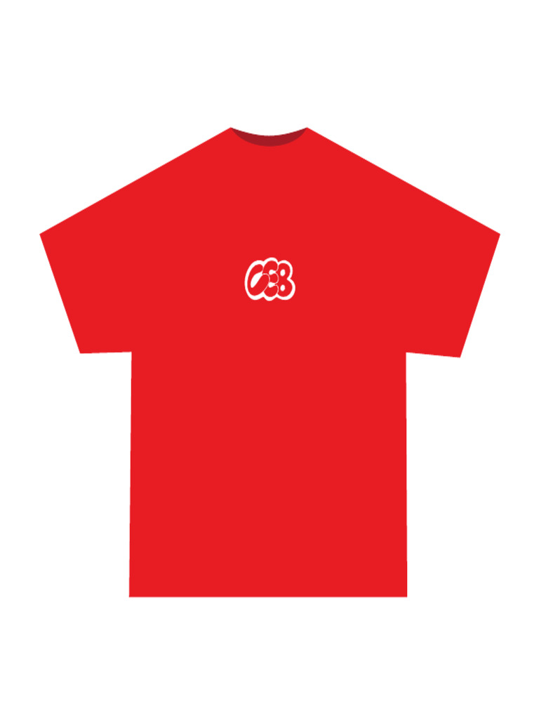 Vodun Days 2025 | PDF