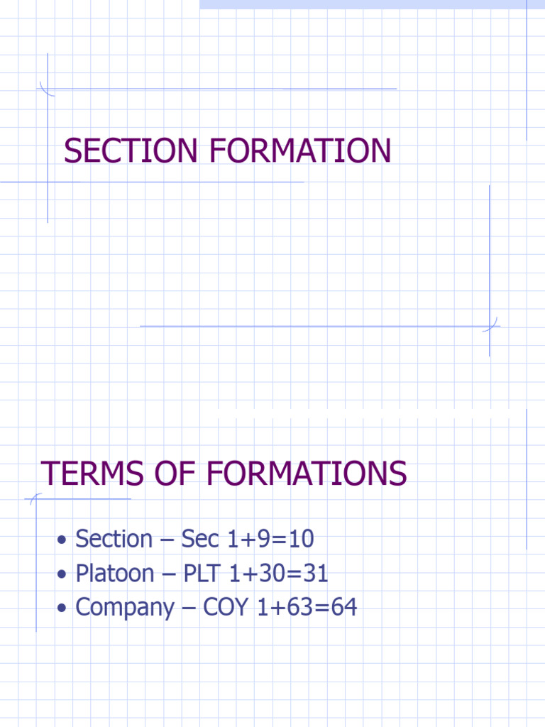 Section Formation | PDF | Rifle | Warfare