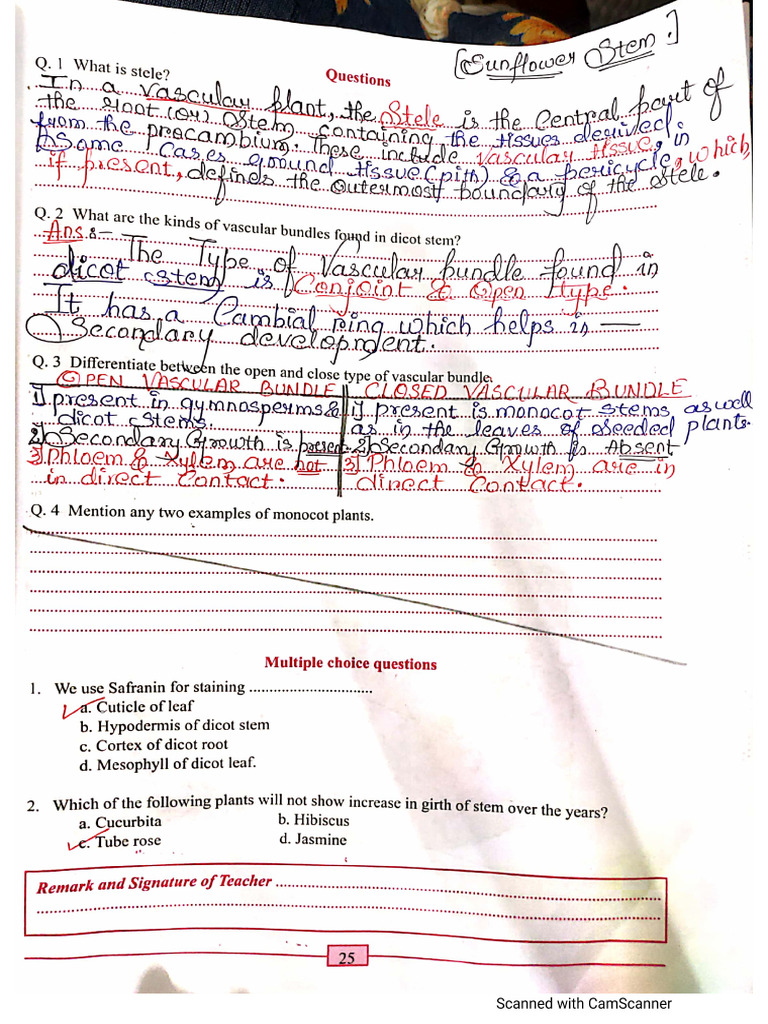 11th STD - BIOLOGY PRACTICAL BOOK | PDF