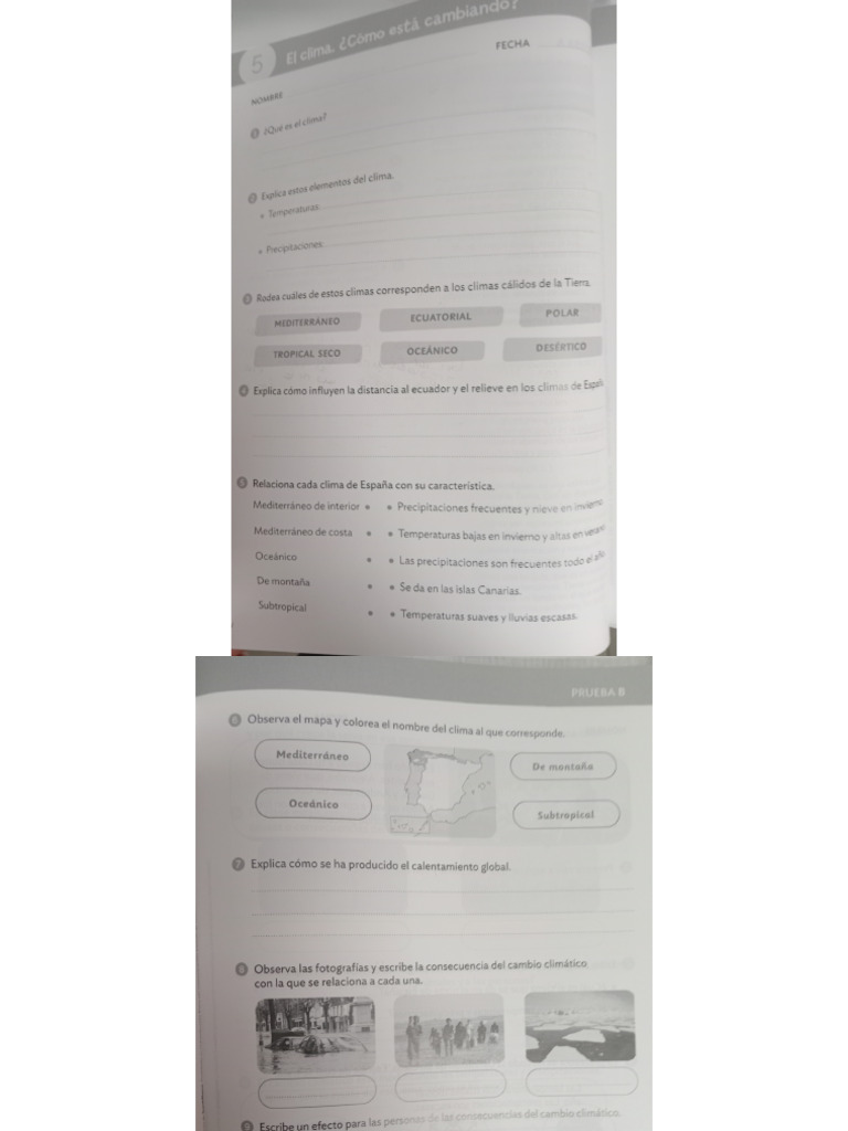 Tema5 Cono | PDF