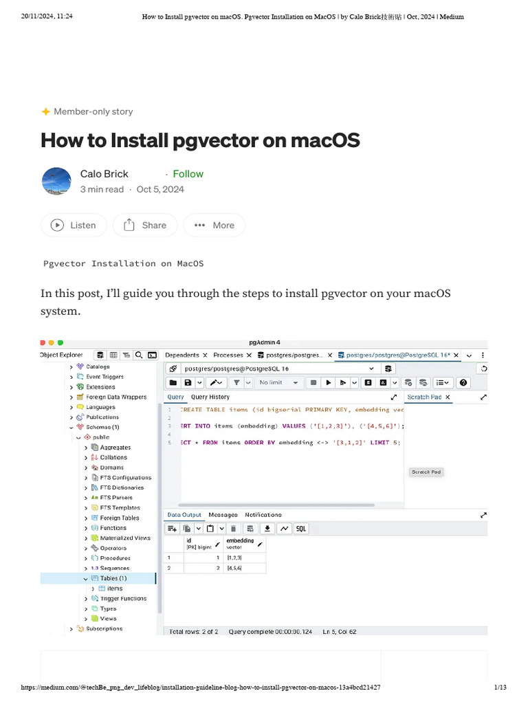How to Install pgvector on macOS. Pgvector Installation on MacOS _ by Calo Brick技術貼 _ Oct, 2024 ...