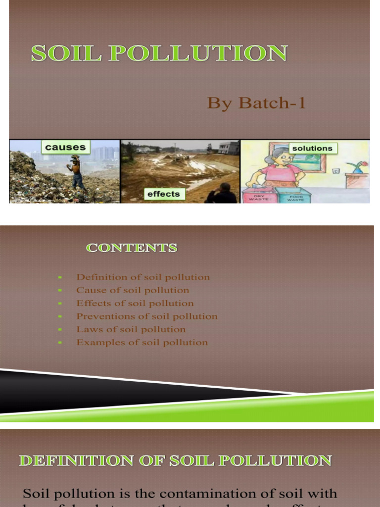 Soil Pollution | PDF