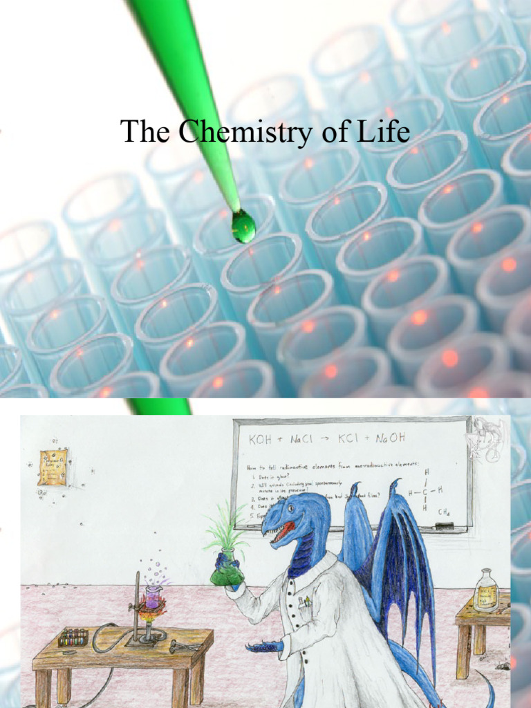Lesson 2 Chemistry of Life | PDF | Carbohydrates | Chemistry