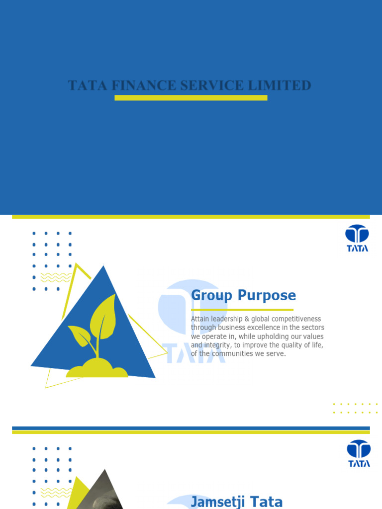 Tata Finance Service Limited Company Profile 2024 | PDF | Investing ...