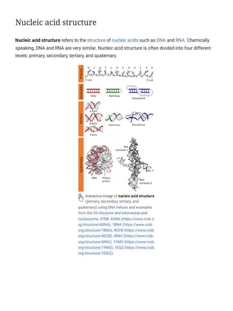 Nucleic Acid Structure - Wikipedia | PDF | Nucleic Acid Double Helix | Dna