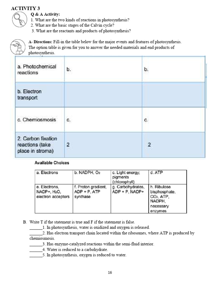 BIOLOGY-Activity-3 | PDF