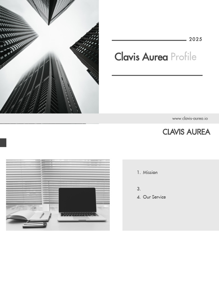 Clavis Aurea: Asset Management Solutions | PDF | Capital Expenditure ...