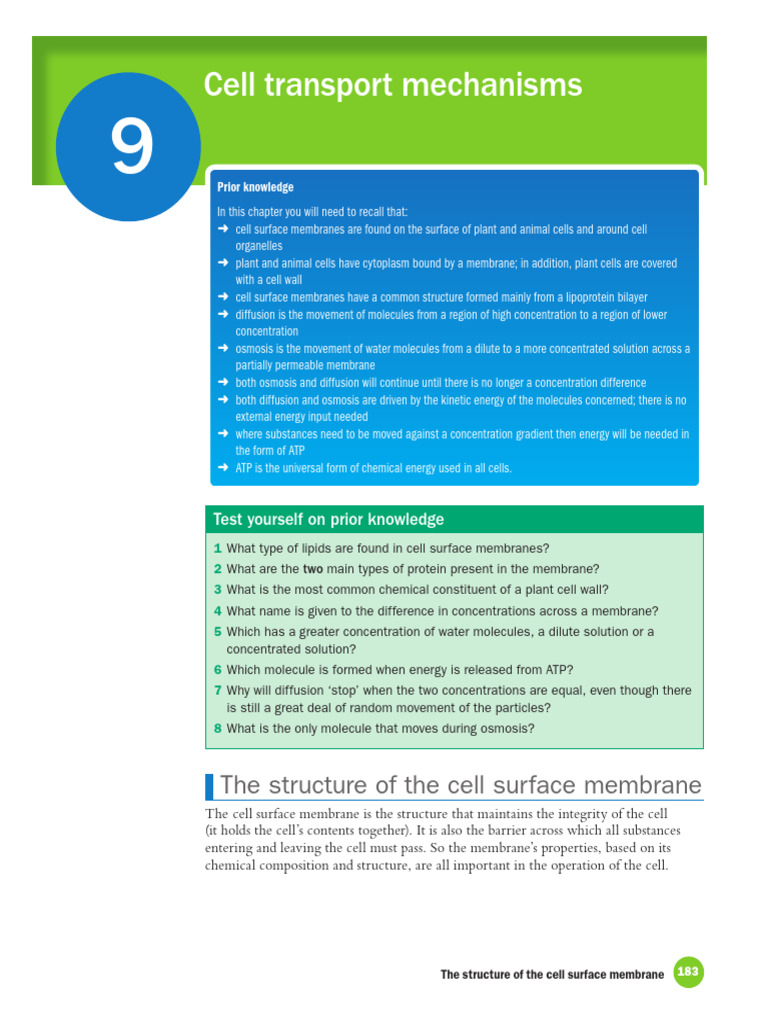 Reading Material 2 - Cell Transport Mechanisms | PDF | Cell Membrane ...