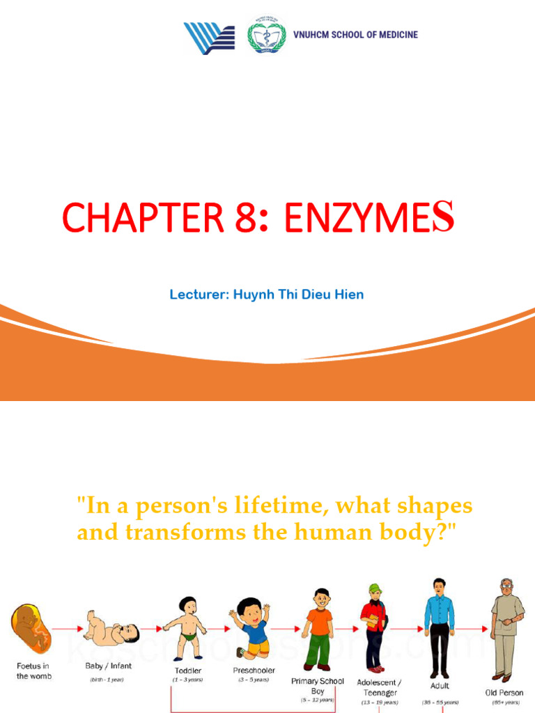 CHAPTER 8 ENZYME Y2023 (2 tiết) | PDF | Enzyme | Enzyme Inhibitor