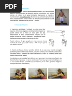 Ejercicios para La Escápula | PDF