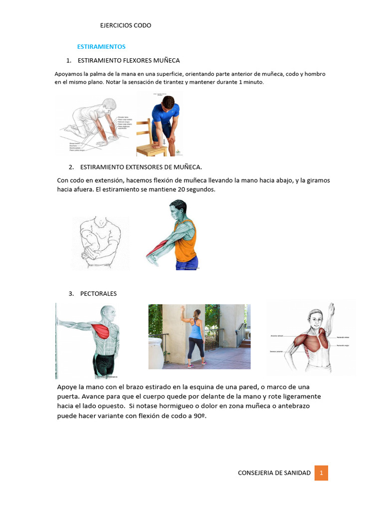 CODO | PDF | Mano | Codo