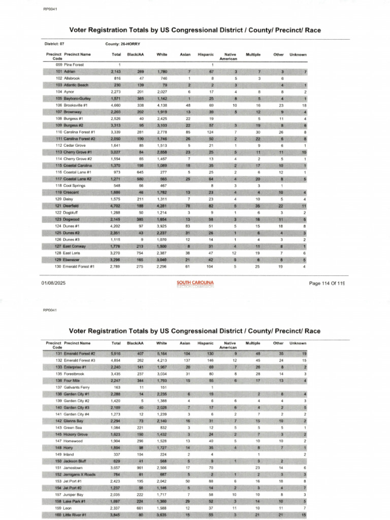 Voter Registration Numbers | PDF