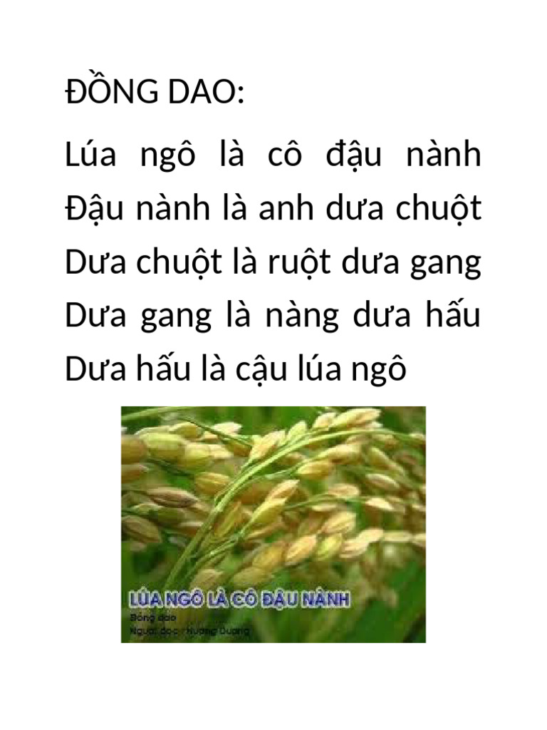 Đ NG Dao | PDF