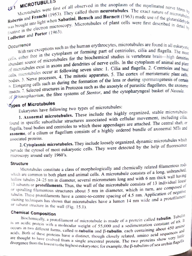 Cytoskeletal Elements (Micro Tubules, Microfilaments and Intermediate ...