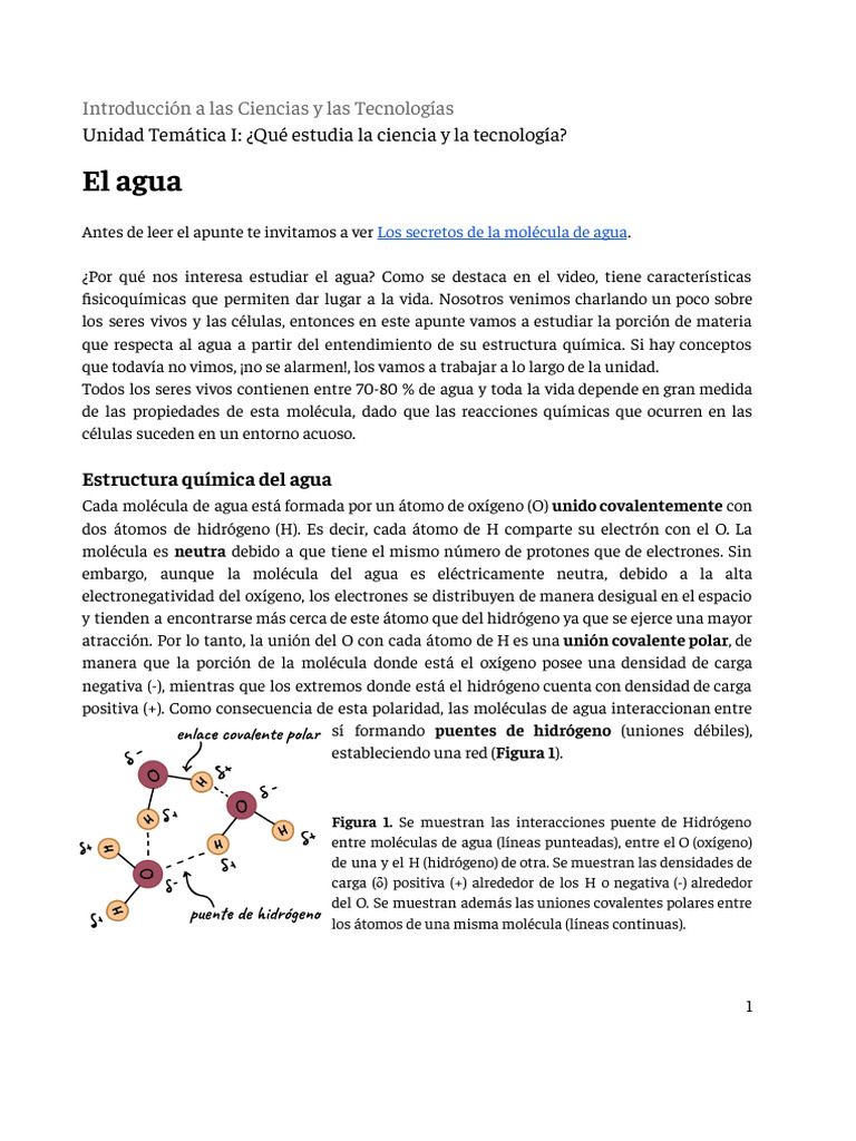 Propiedades del Agua y Polaridad | PDF | Propiedades del agua | Polaridad química