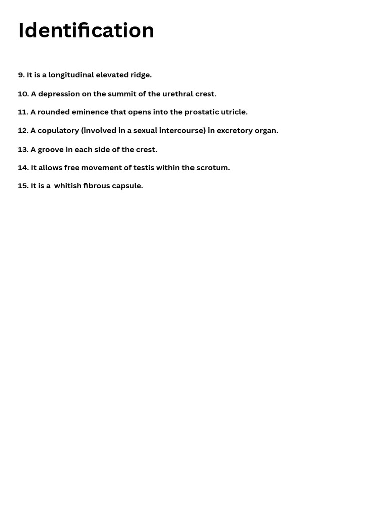 It Is A Longitudinal Elevated Ridge. - 20250105 - 165403 - 0000 | PDF