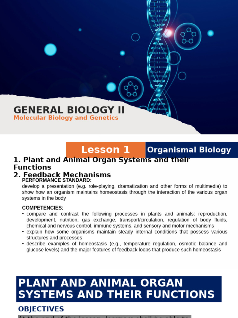 Plant and Animal Organ Systems Overview | PDF | Fertilisation | Seed