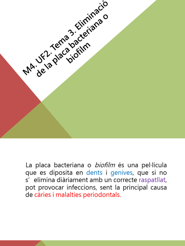 Tema 3 Alda Placa | PDF