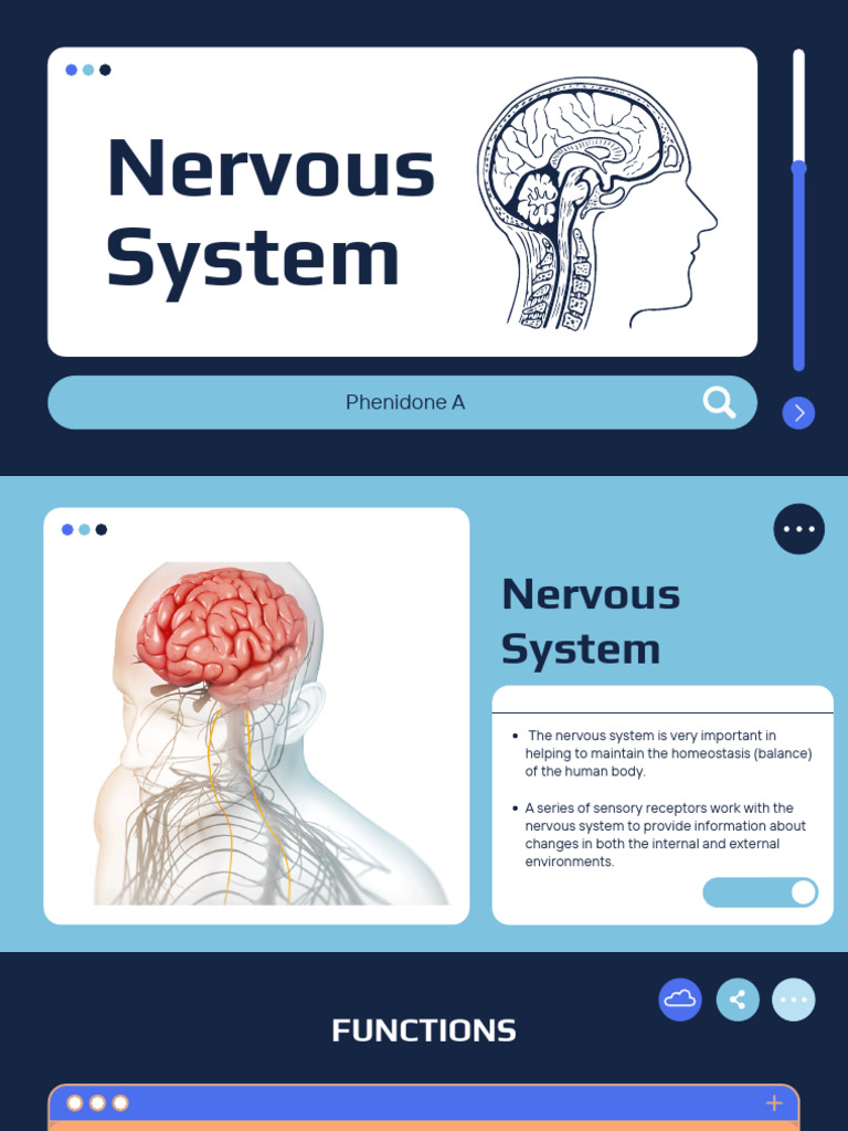 Radana Lab Act 1 | PDF | Central Nervous System | Nervous System