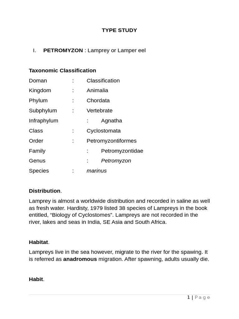 Petromyzon Lamprey or Lamper Eel | PDF | Vein | Heart