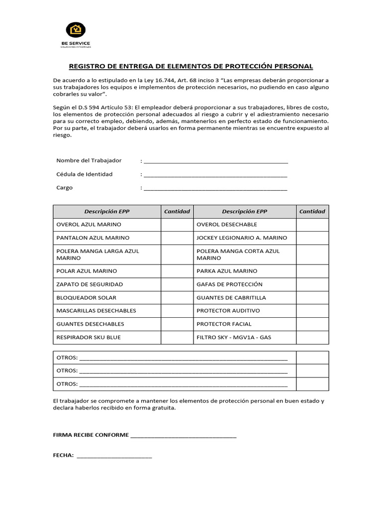 Entrega de EPP 2024 | PDF