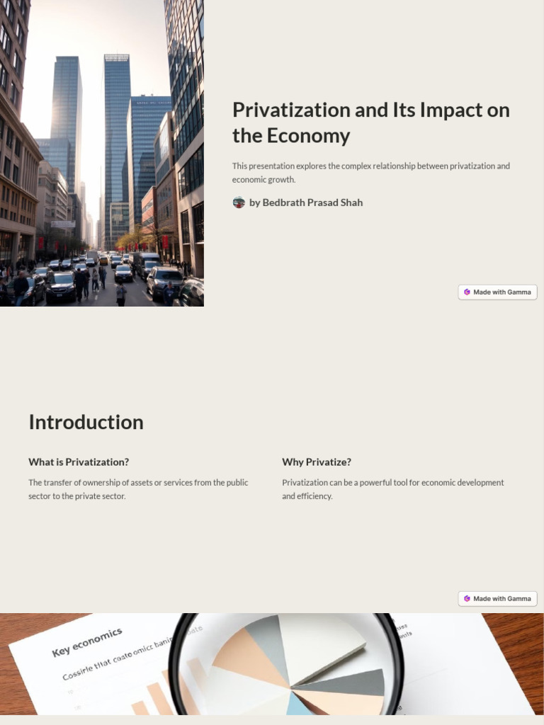 Economic Growth Through Privatization | PDF