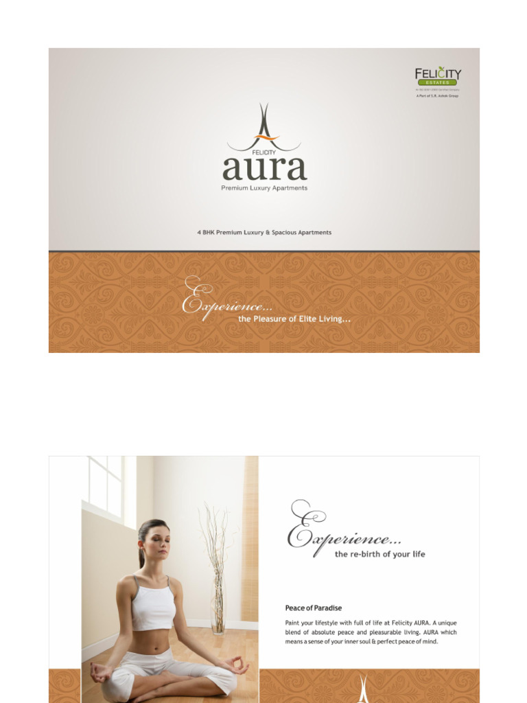 Aura | PDF