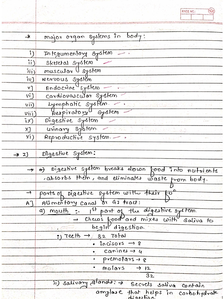 Major Organ Systems in Body For Medical Coding Preparation | PDF