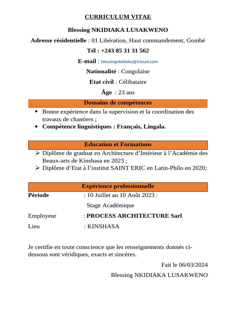 CV de Blessing NKIDIAKA LUSAKWENO | PDF