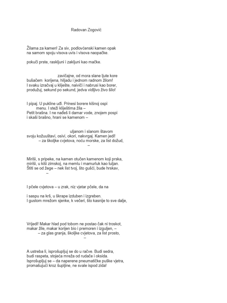 Instrukcija Maslini | PDF