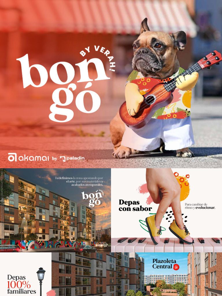 Bongo Brochure | PDF