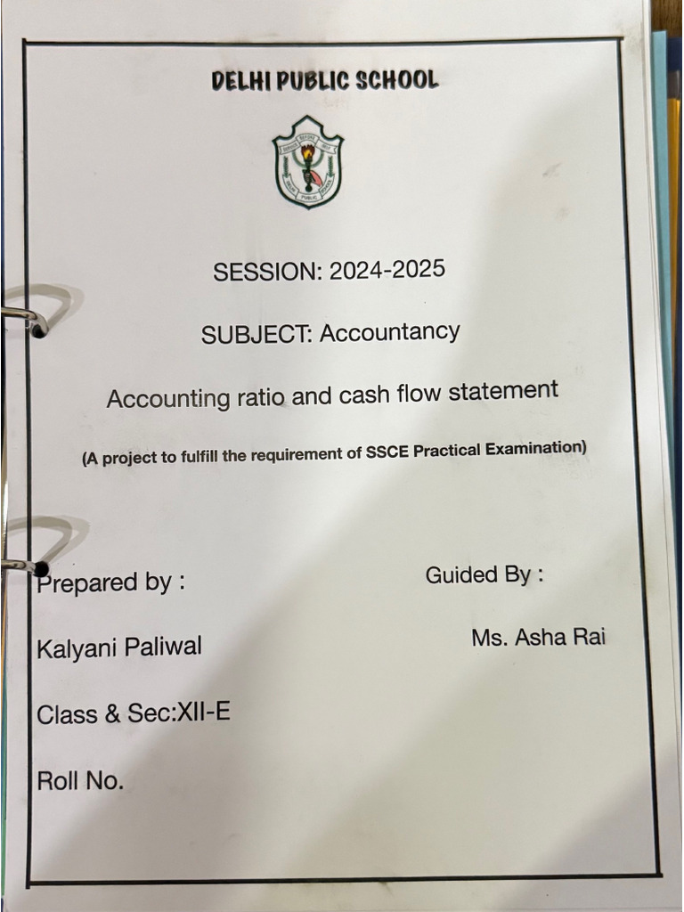 Accountancy Project | PDF