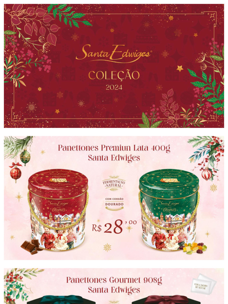 Santa Edwiges 2024 | PDF