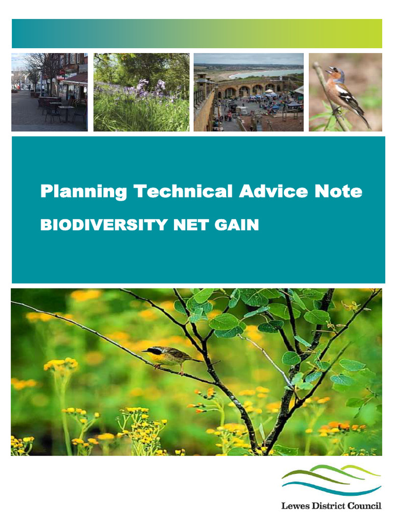 Biodiversity Net Gain Technical Advice Note | PDF | Biodiversity ...