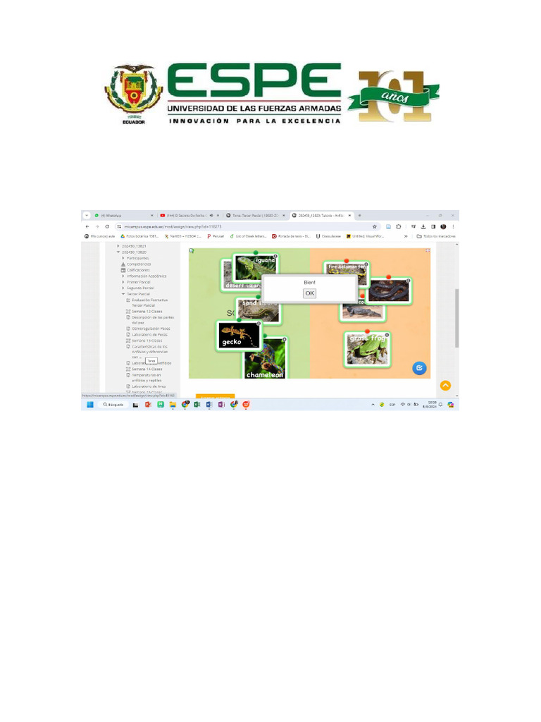 Anfibios - Méndez Paredes Stefany - 13820 | PDF