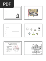AZ Photoresist Process Guideline | PDF | Photolithography | Wafer ...