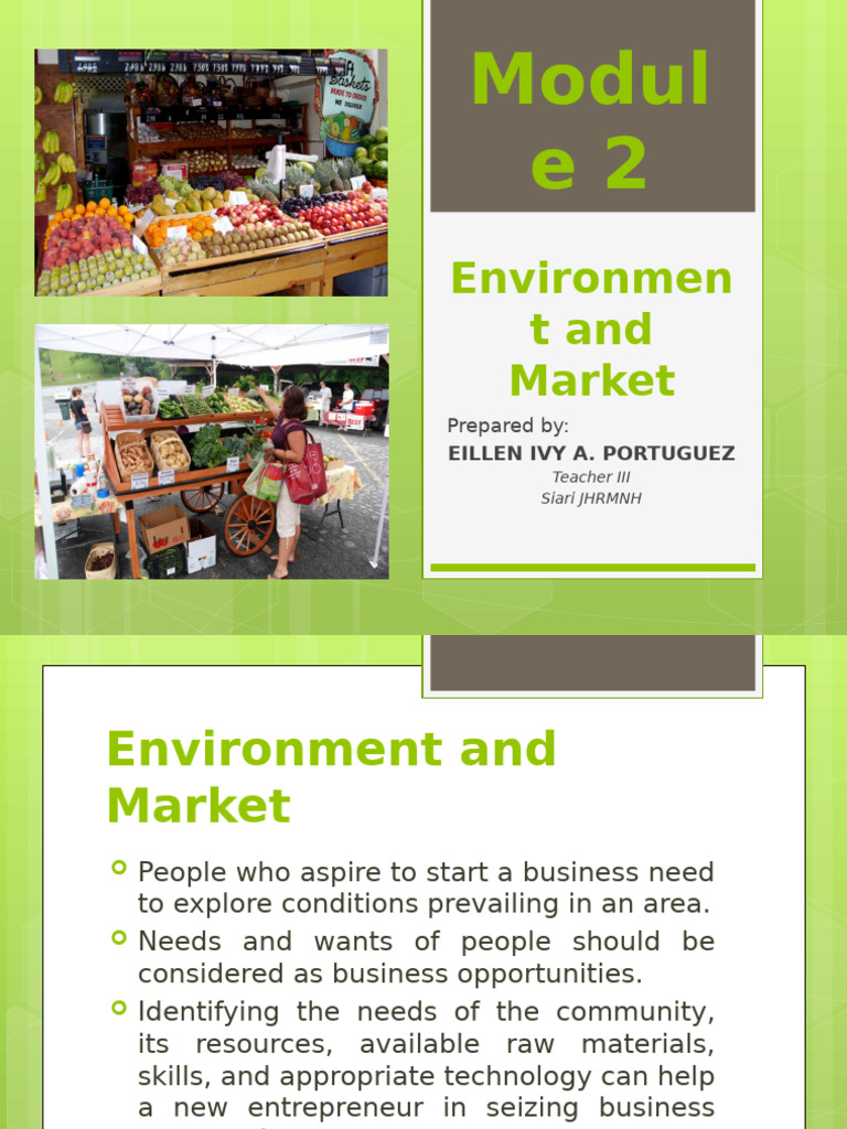 Environment and Market | PDF