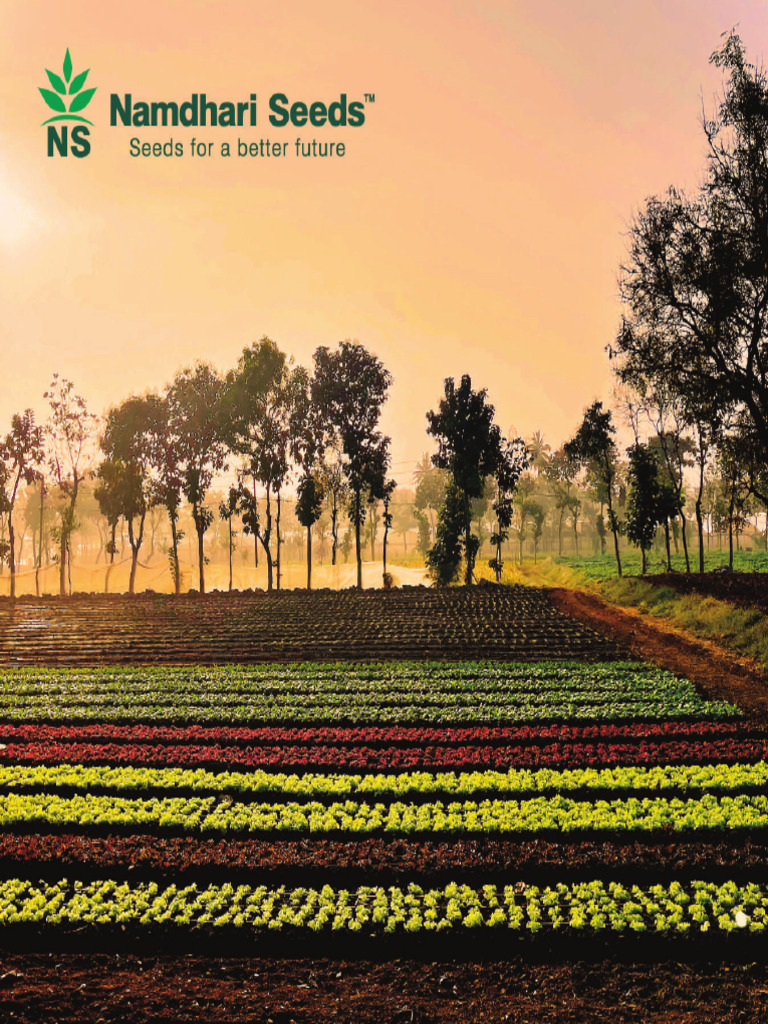 Namdhari Seeds | PDF