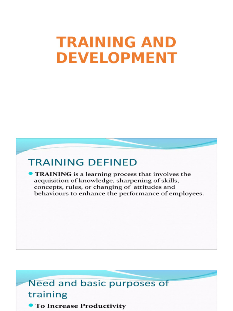 Training and Development Overview | PDF
